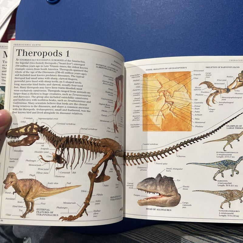 Ultimate Visual Dictionary