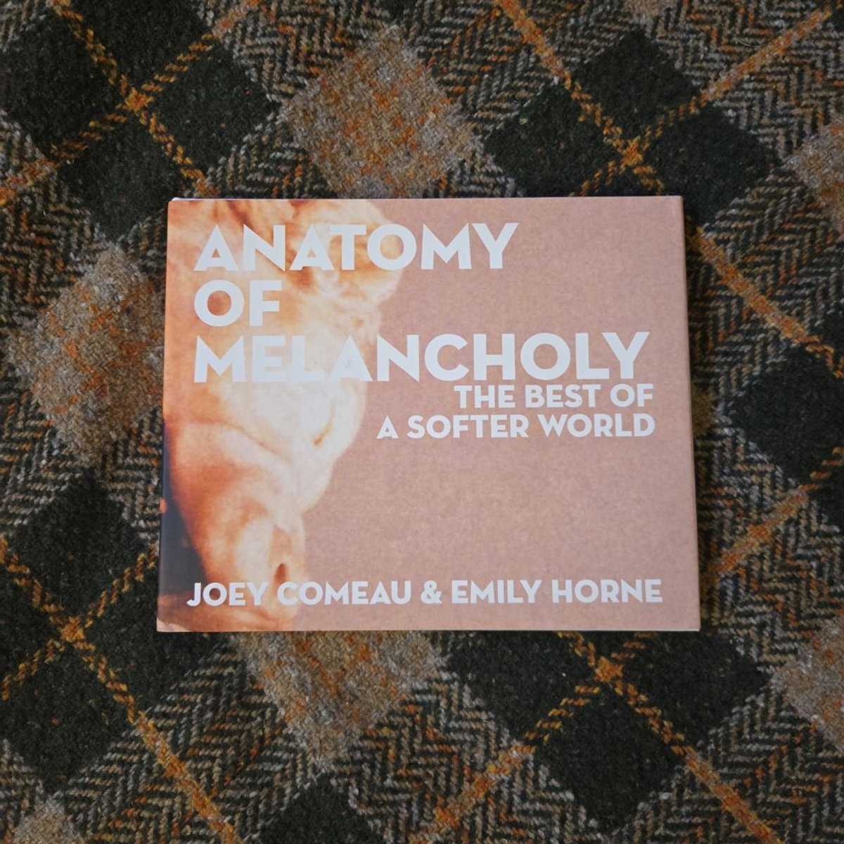Anatomy of Melancholy: the Best of a Softer World by Joey Comeau, Emily ...