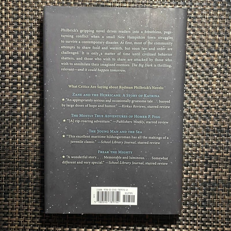The Big Dark by Rodman Philbrick, Hardcover | Pangobooks