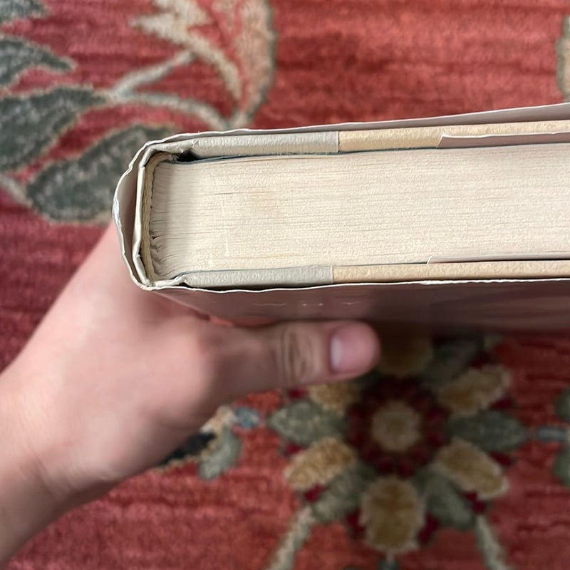 Why She Left Us by Rahna Reiko Rizzuto