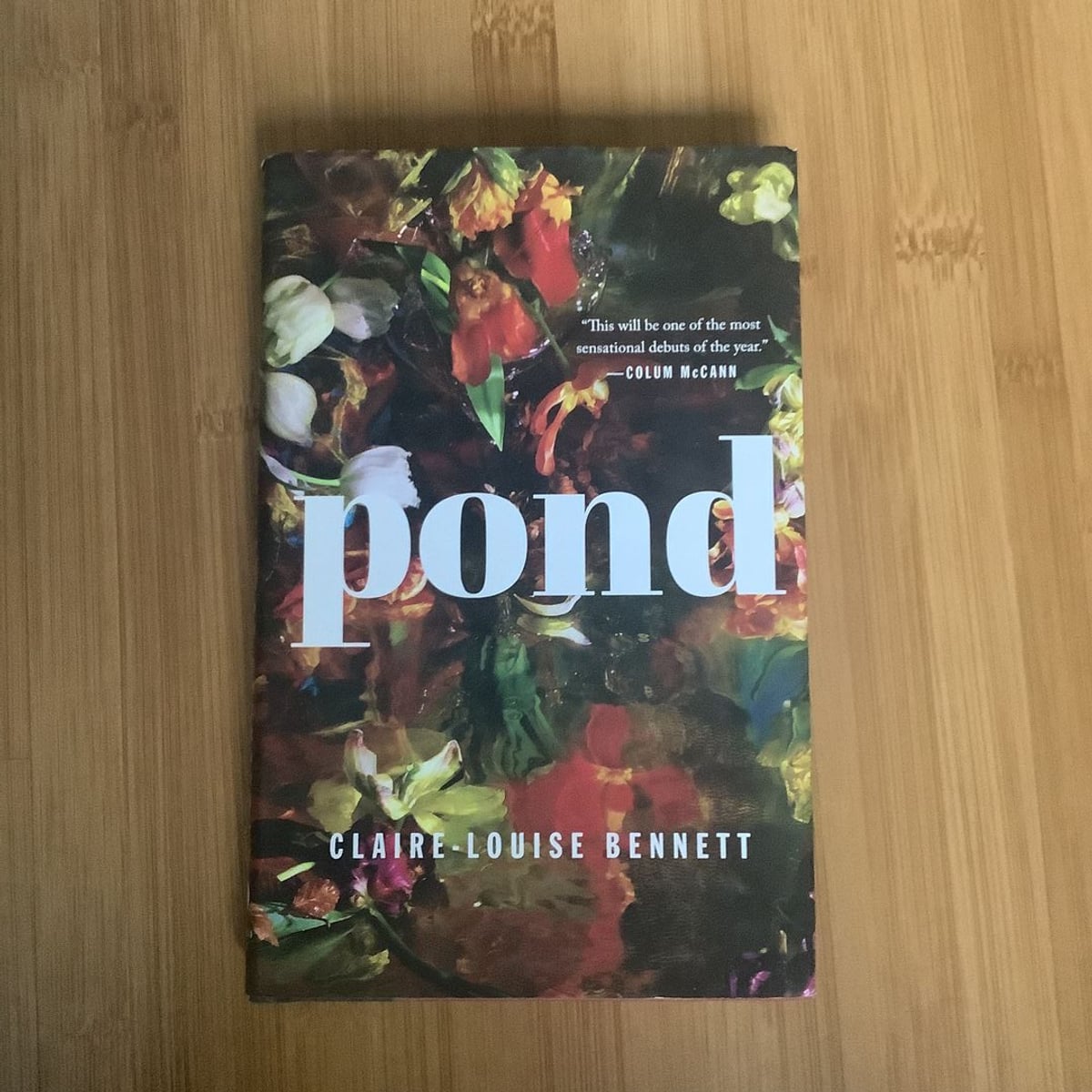 Pond by Claire-Louise Bennett, Hardcover | Pangobooks