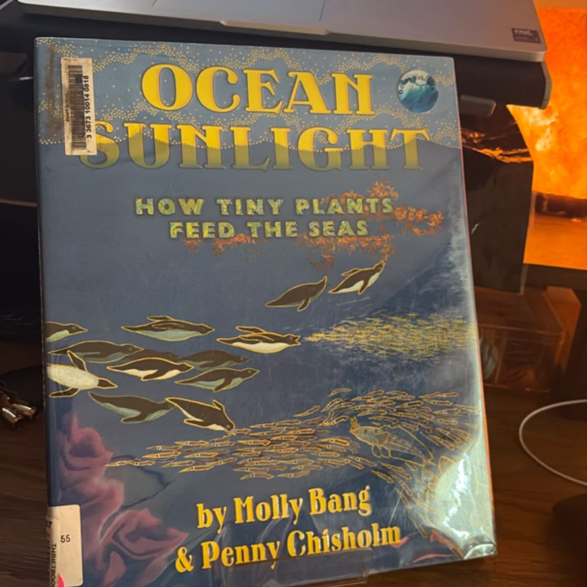 Ocean Sunlight: How Tiny Plants Feed the Seas by Penny Chisholm