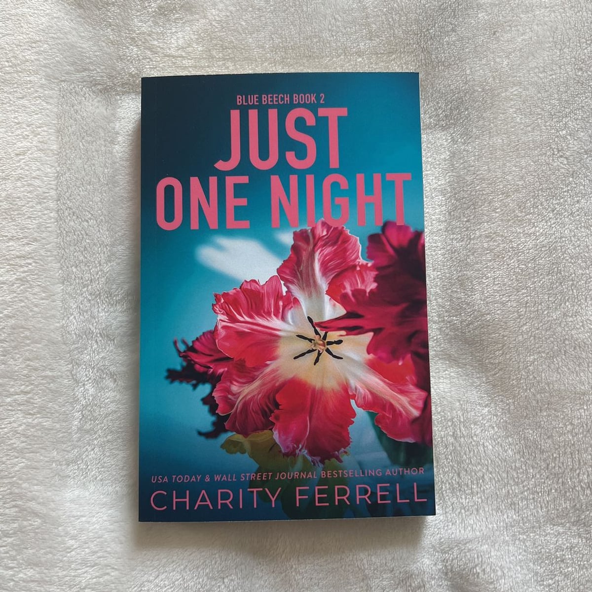 Just One Night Special Edition by Charity Ferrell