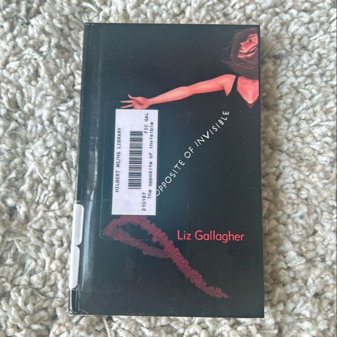 Opposite of Invisible by Liz Gallagher, Hardcover | Pangobooks