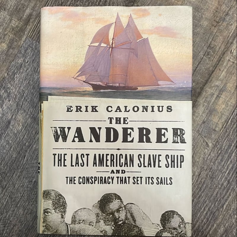The Wanderer by Erik Calonius