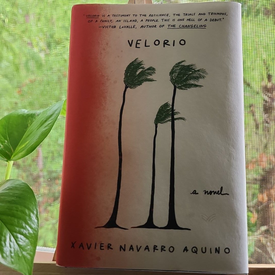 Velorio by Xavier Navarro Aquino, Hardcover | Pangobooks