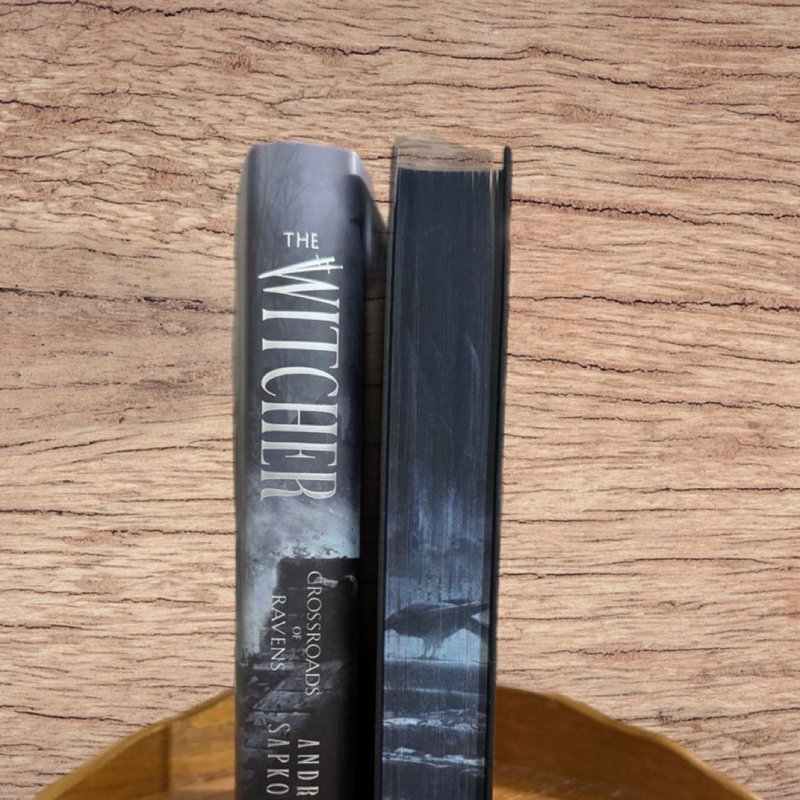 The Witcher Crossroads of Ravens The broken binding by Andrezej ...