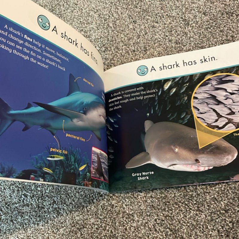 The Shark Book (Side by Side) by Pamela Chanko