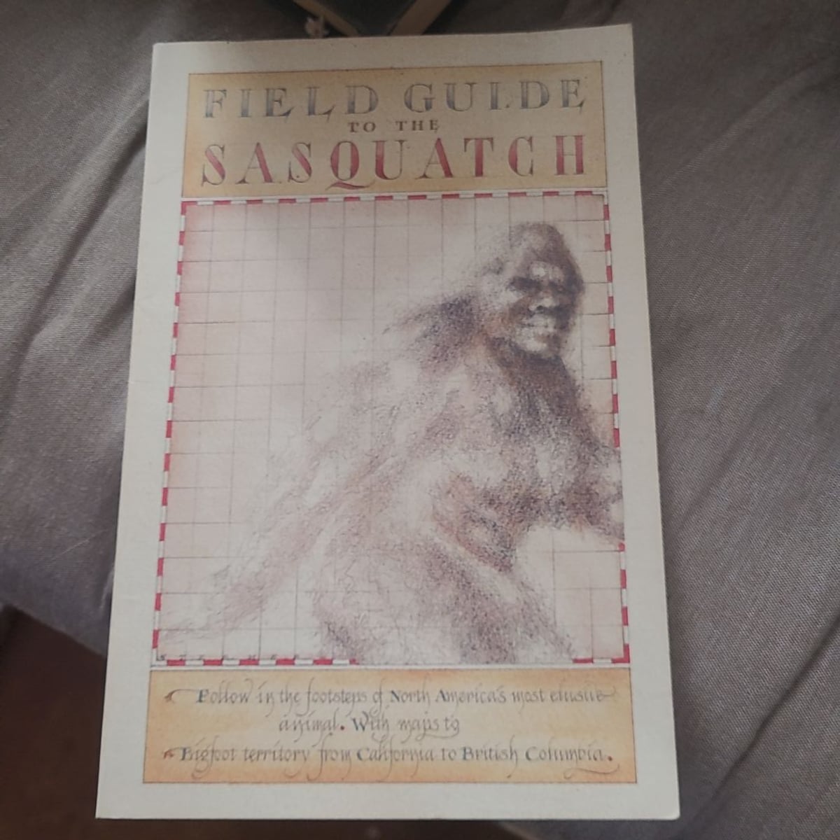 Field Guide to the Sasquatch by David Gordon