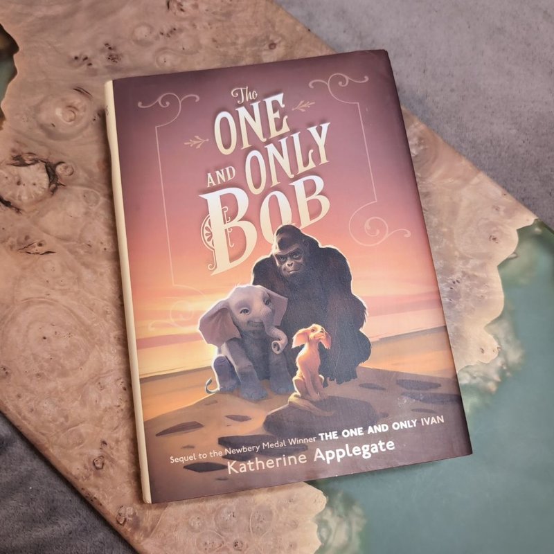 The One and Only Bob FIRST EDITION by Katherine Applegate, Hardcover ...