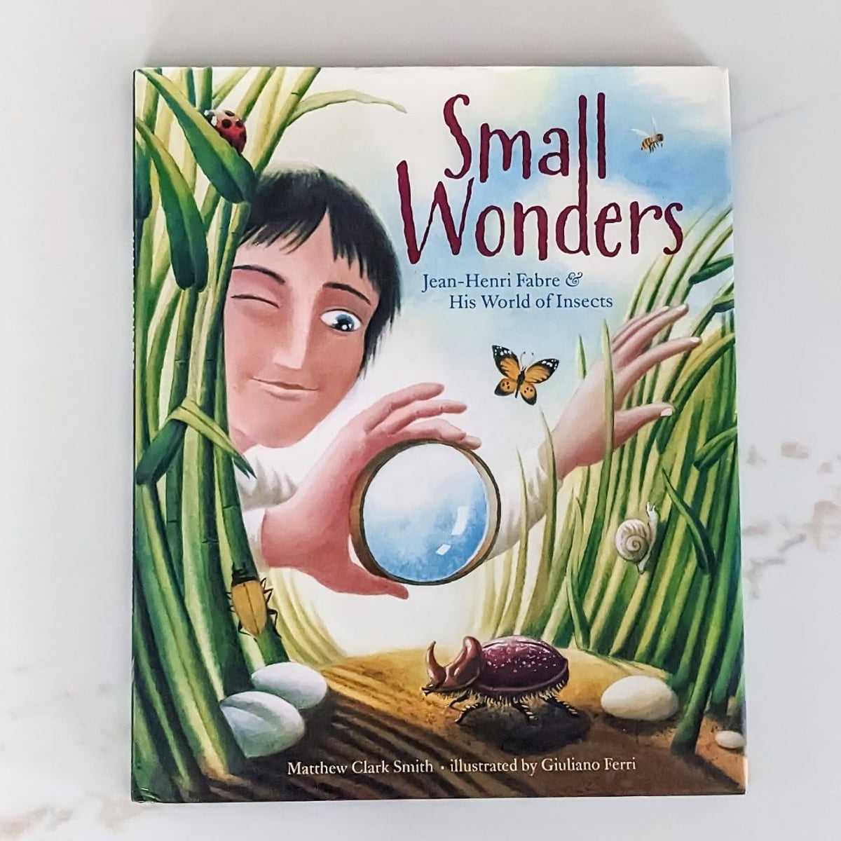 Small Wonders by Matthew Clark Smith