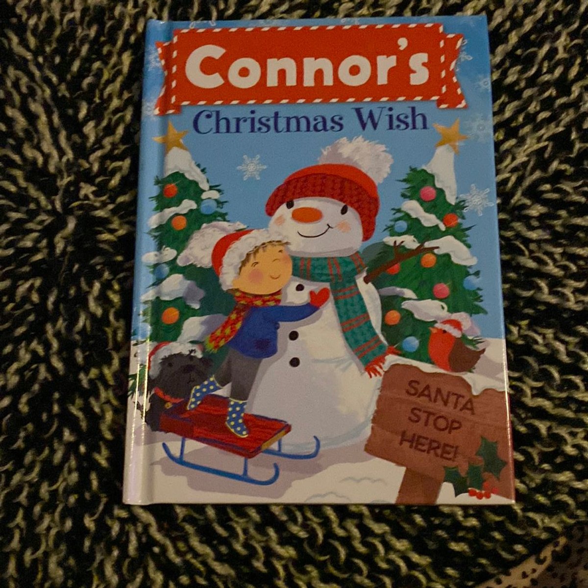 Connor's Christmas Wish by Put Me In The Story, J. D. Green