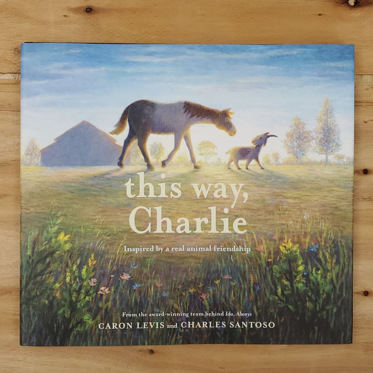 This Way, Charlie by Caron Levis