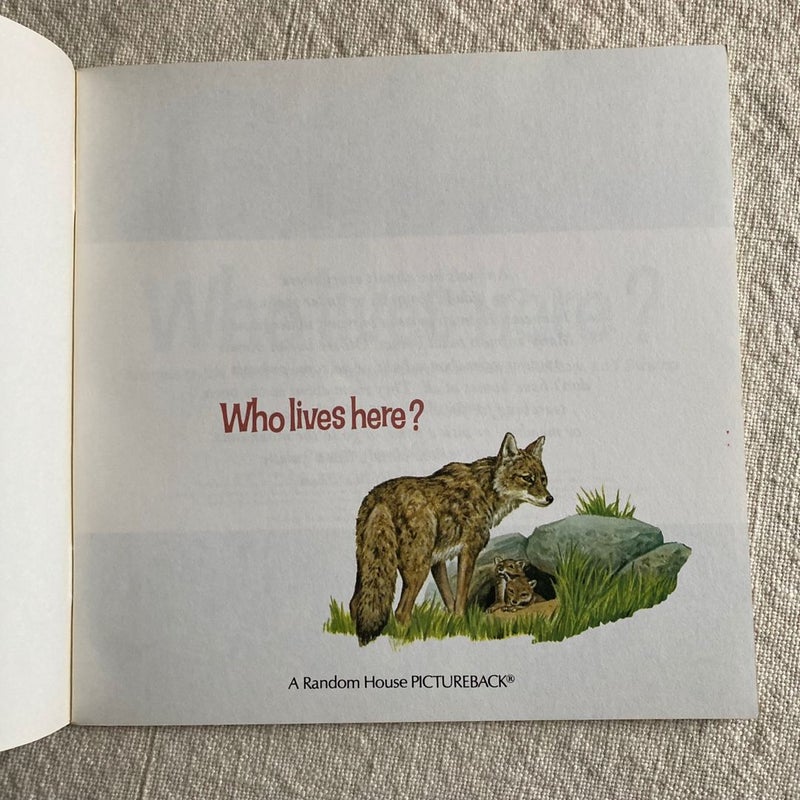 Who Lives Here? by Dorothy Barlowe