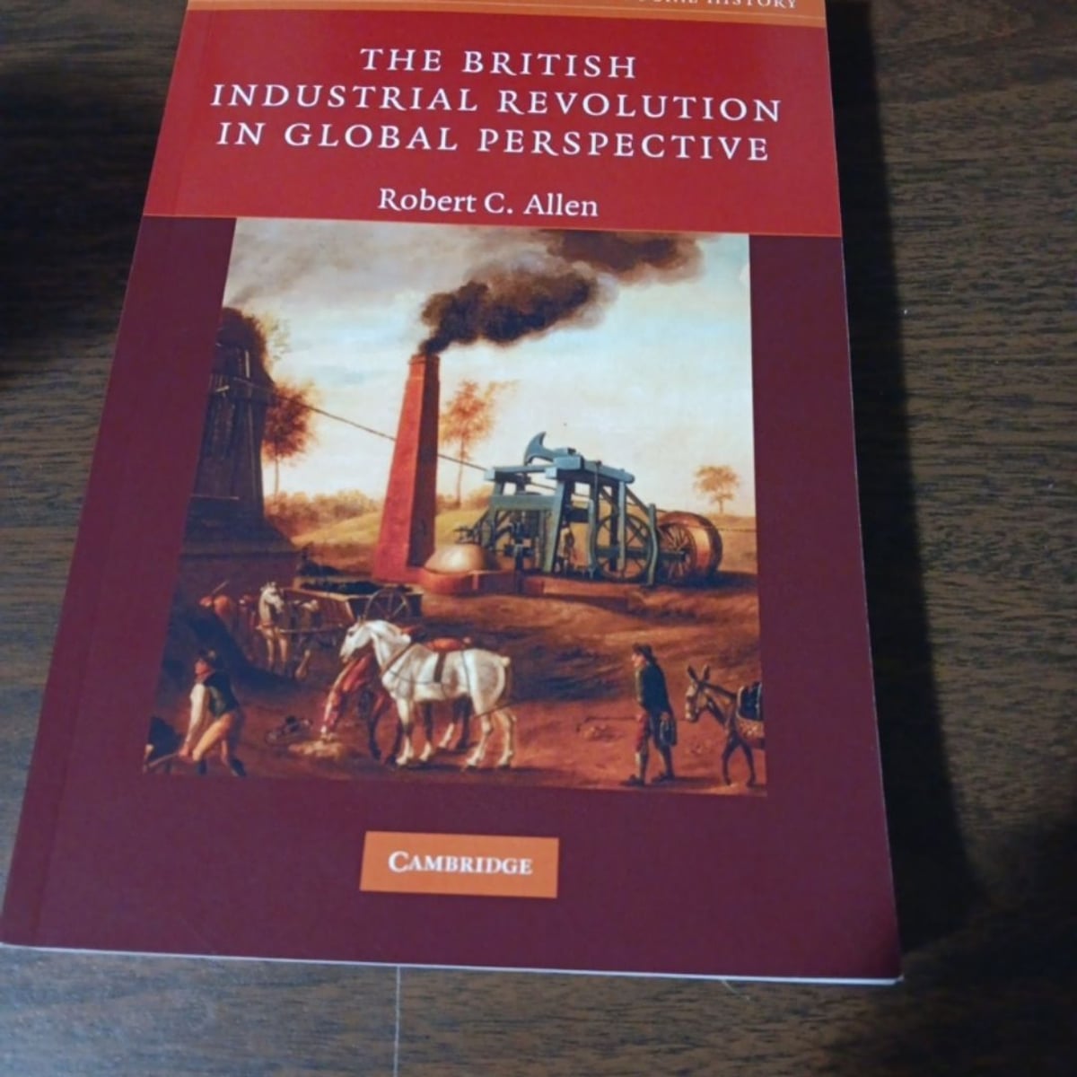 The British Industrial Revolution in Global Perspective by Robert C. Allen