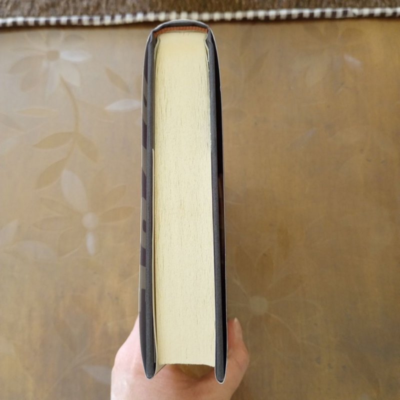 Race to the Bottom by Luke Rosiak