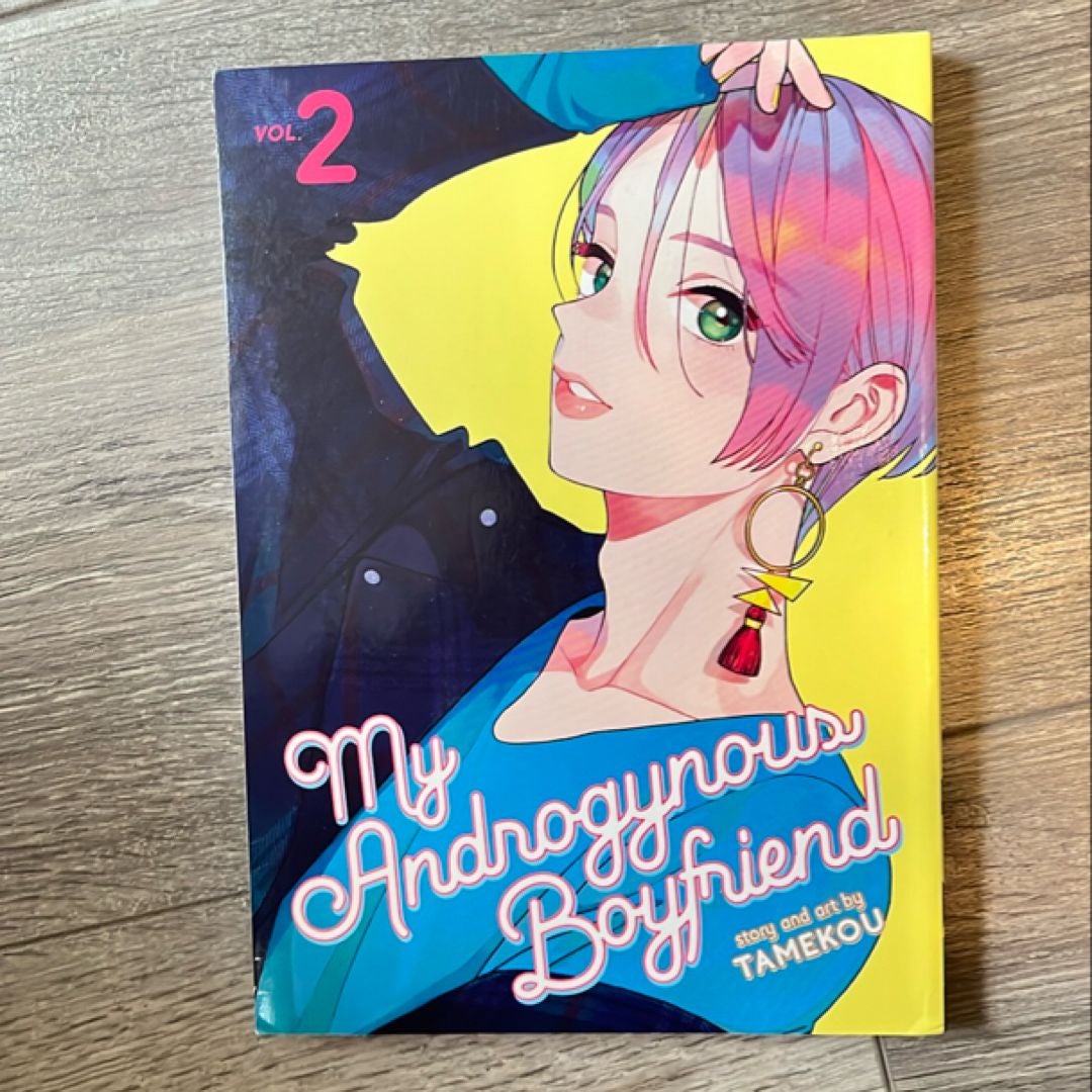 My Androgynous Boyfriend Vol. 2 by Tamekou, Paperback | Pangobooks