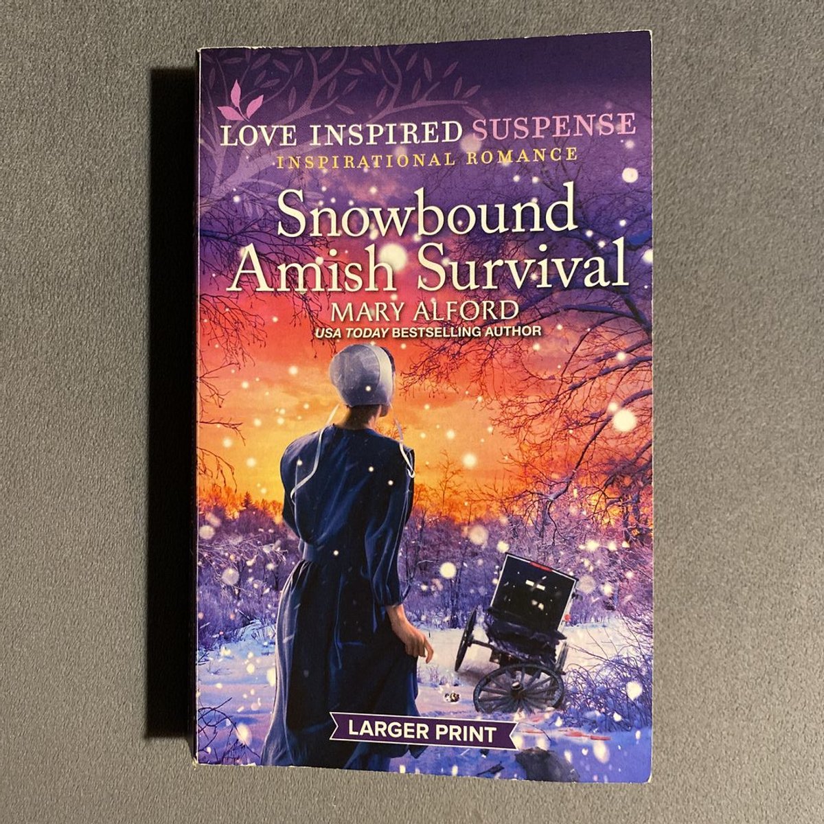 Snowbound Amish Survival by Mary Alford