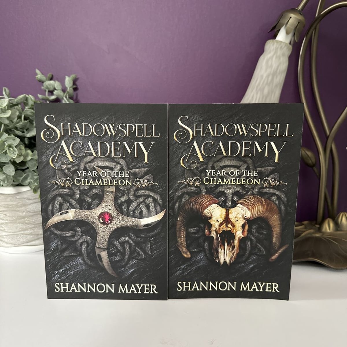 Shadowspell Academy: Year of the Chameleon by Shannon Mayer