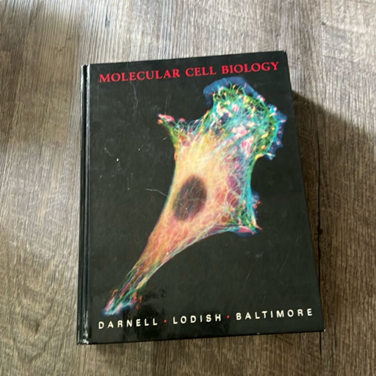 Molecular Cell Biology by Harvey Lodish; Arnold Berk; Chris A. Kaiser ...