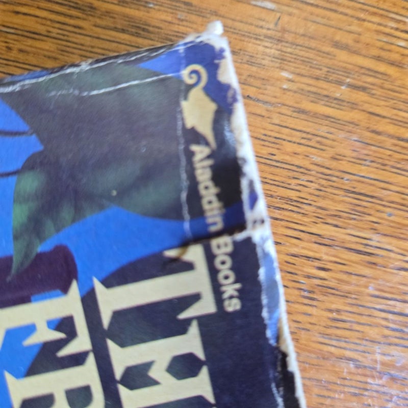 The View from the Cherry Tree by Willo Davis Roberts