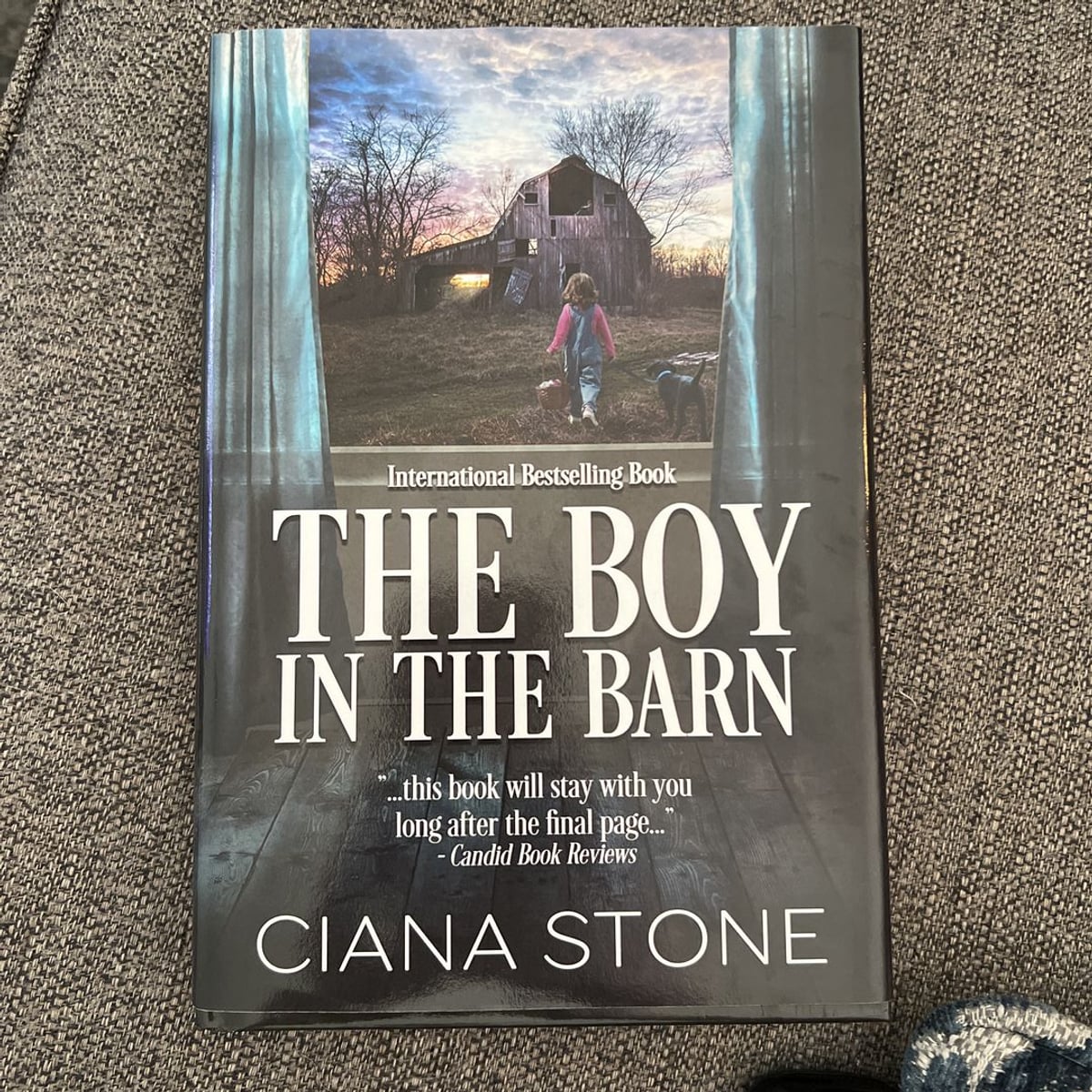 The Boy in the Barn by Ciana Stone, Hardcover | Pangobooks