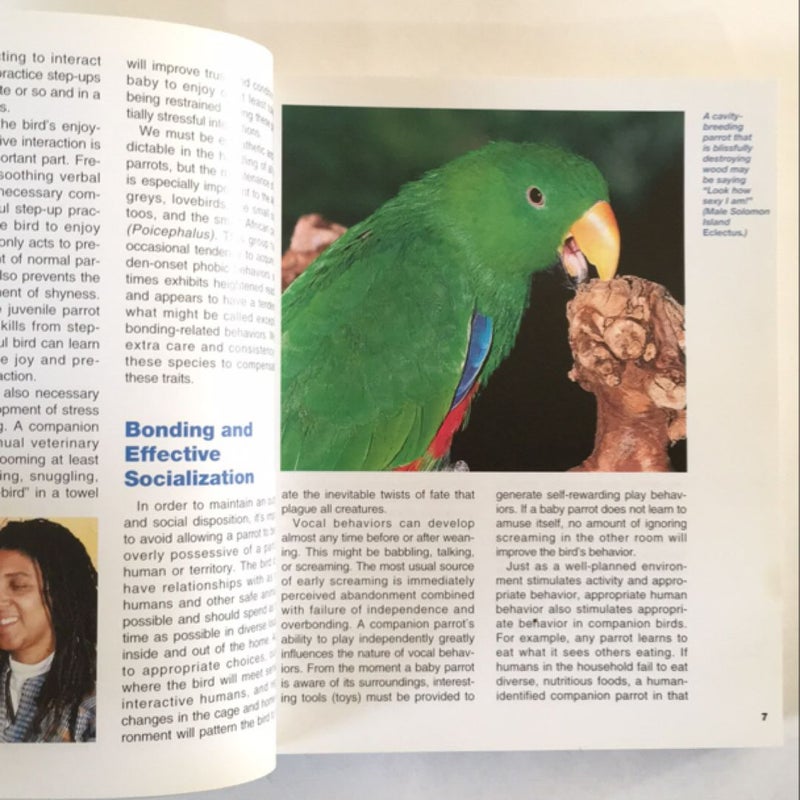 Guide to Companion Parrot Behavior by Mattie Sue Athan