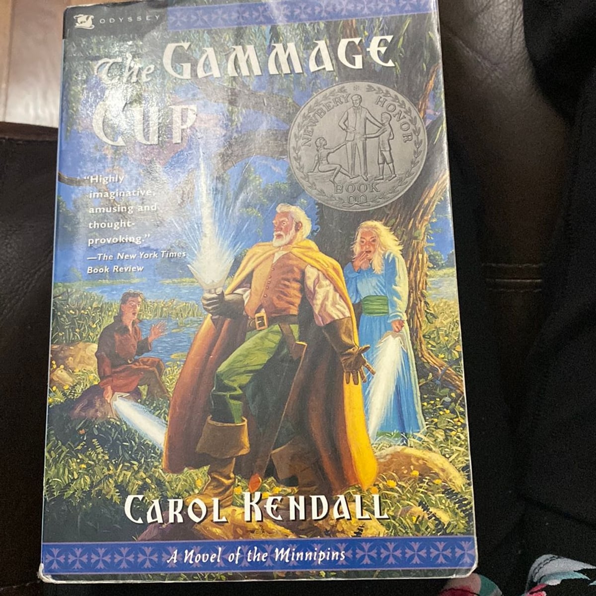 The Gammage Cup by Carol Kendall