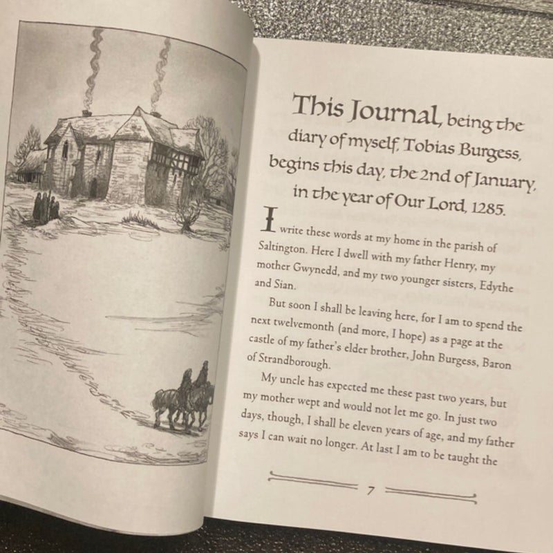 Castle Diary by Richard Platt