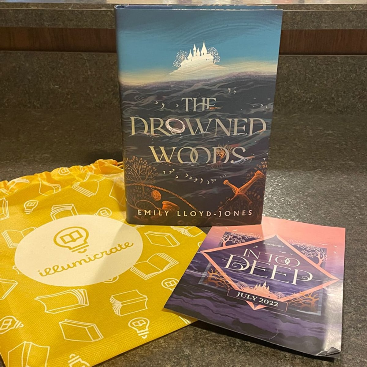 The Drowned Woods by Emily Lloyd-Jones, Paperback | Pangobooks