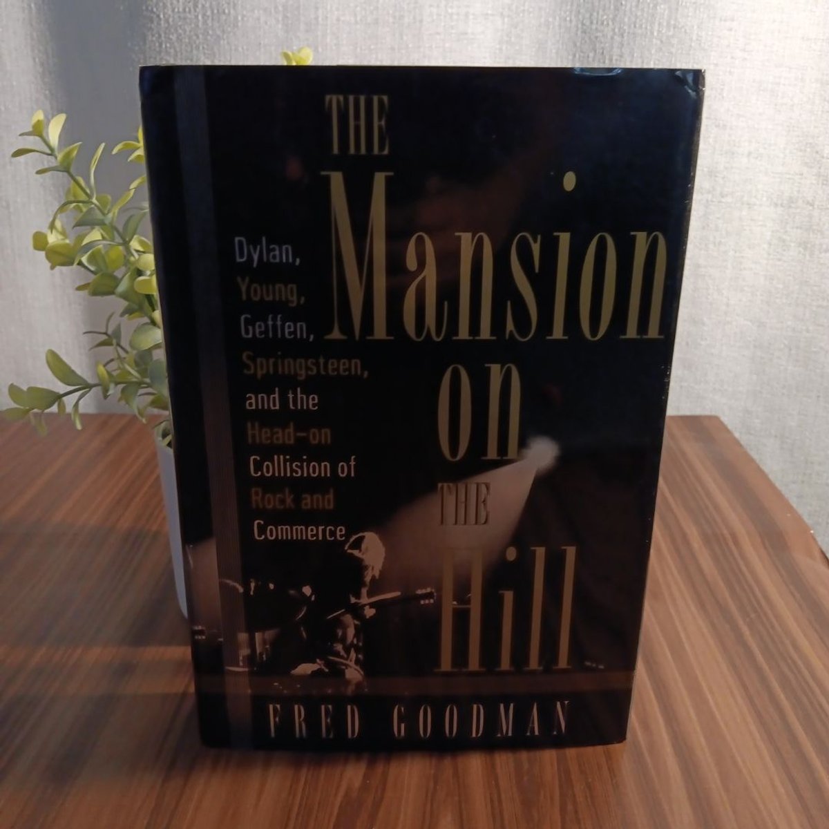 The Mansion on the Hill by Fred Goodman