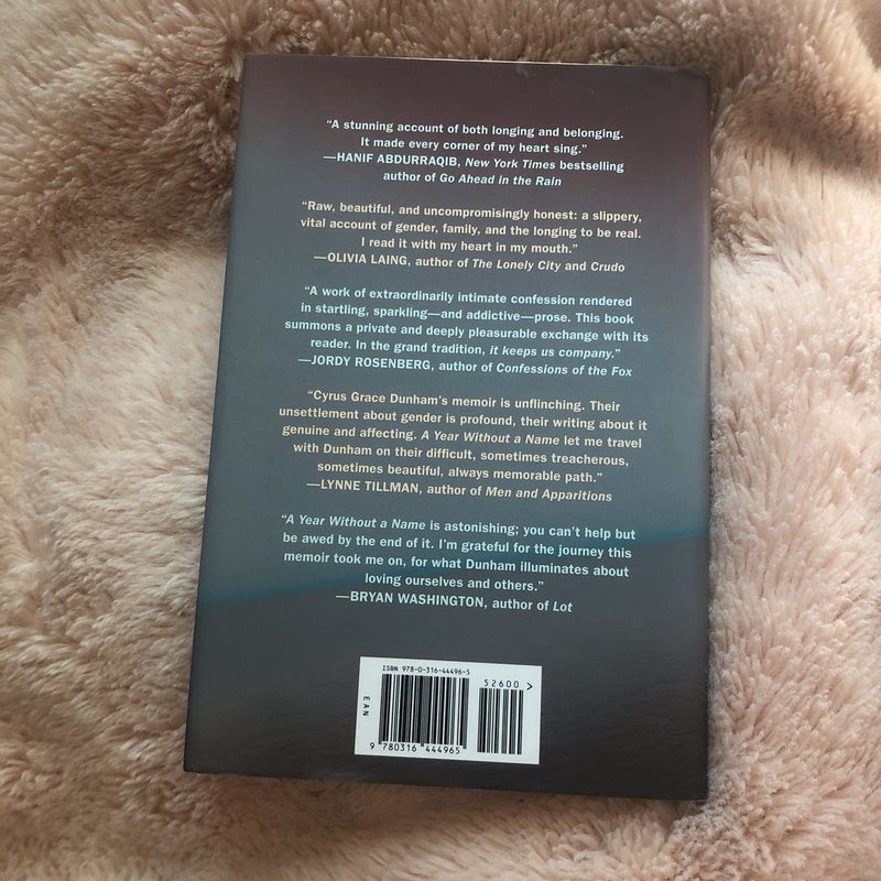 A Year Without a Name by Cyrus Dunham