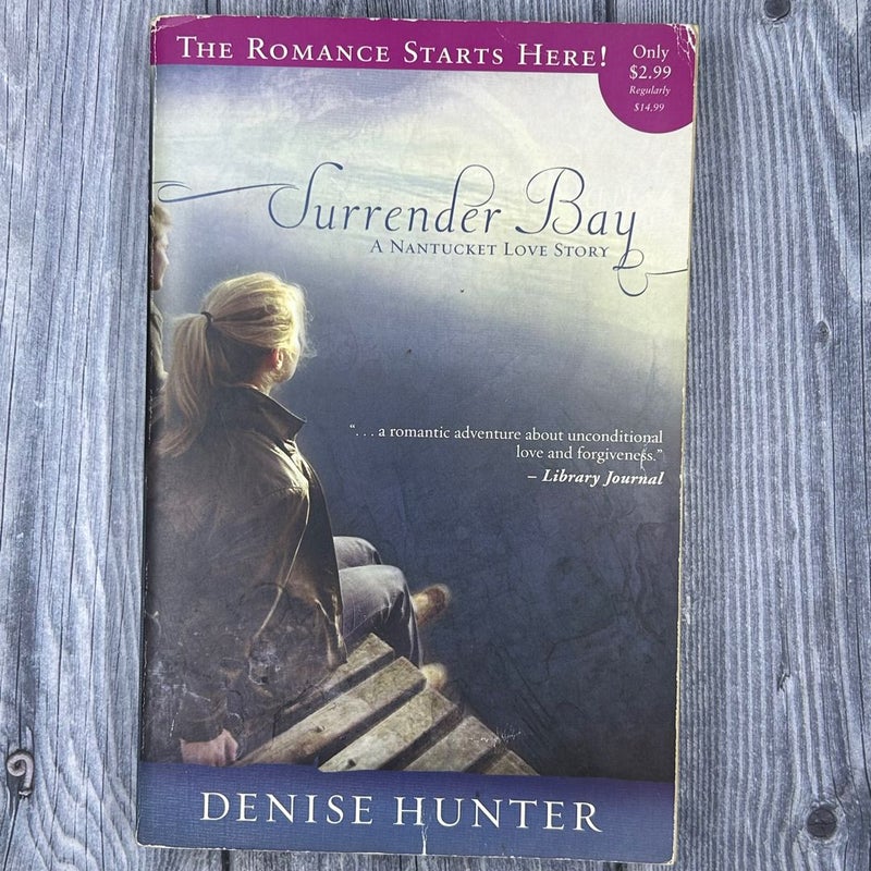 Surrender Bay by Denise Hunter, Paperback | Pangobooks