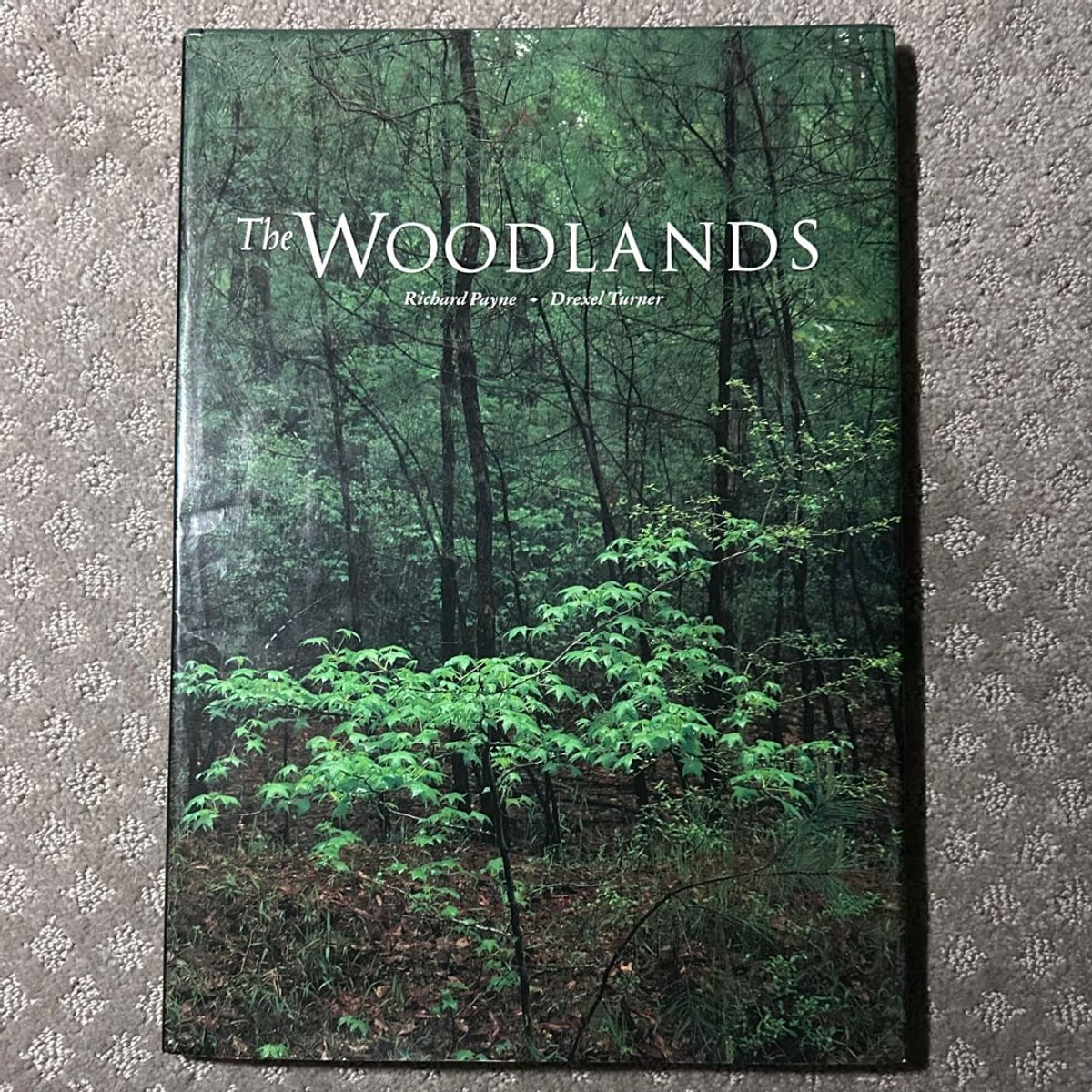 The Woodlands by Richard Payne, Drexl Turner