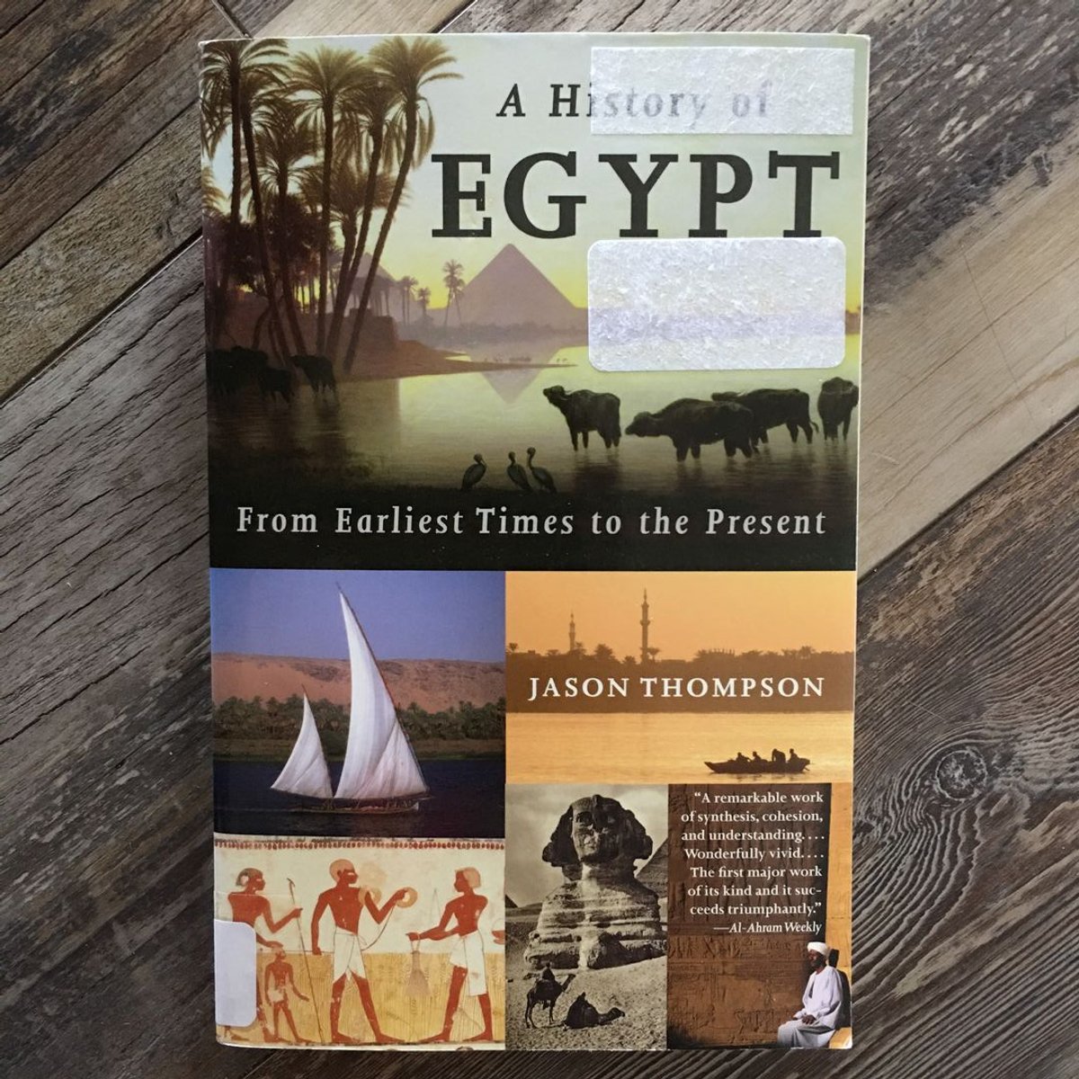 A History Of Egypt By Jason Thompson