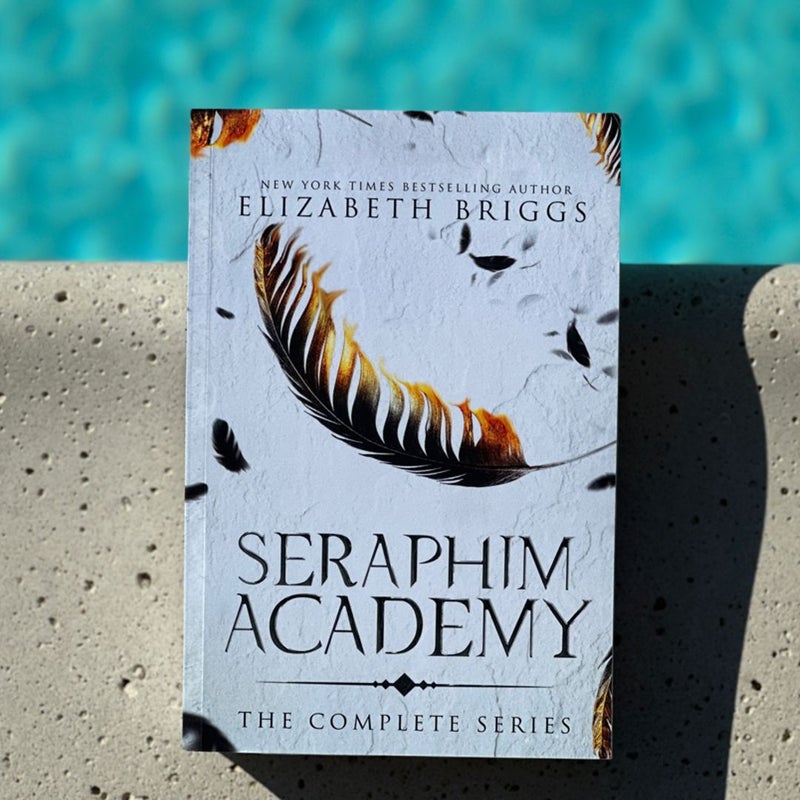 SIGNED by hand Seraphim Academy Three Books in One by Elizabeth Briggs ...