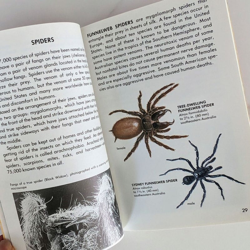 Poisonous Animals by Edmund D. Brodie, Paperback | Pangobooks