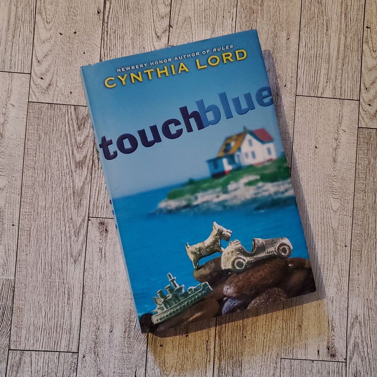 Touch Blue by Cynthia Lord