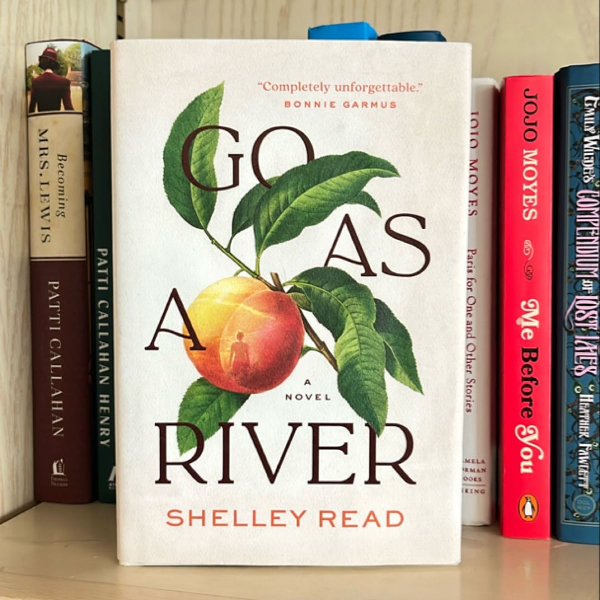Go As a River by Shelley Read, Hardcover | Pangobooks