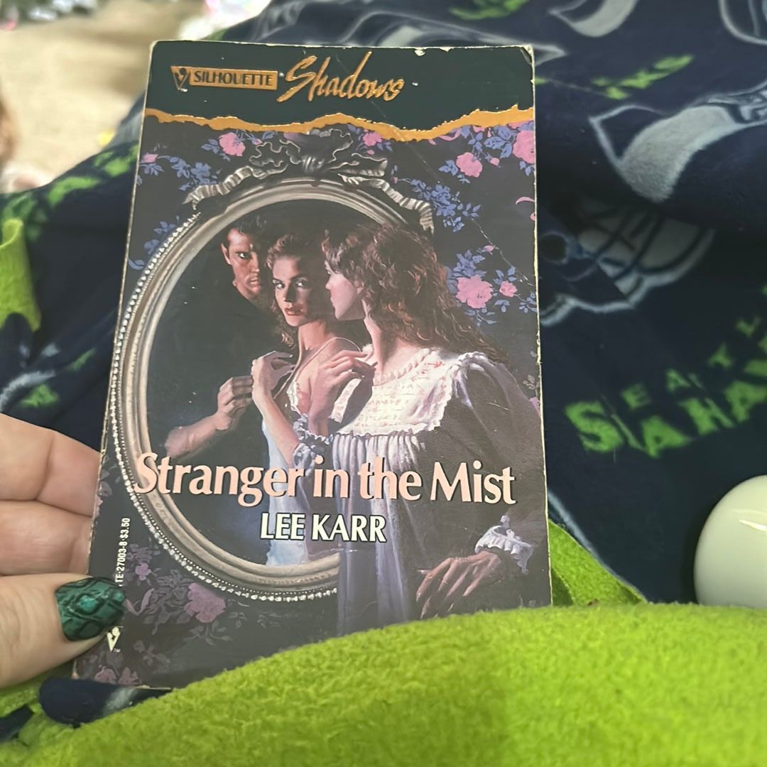 Stranger in the Mist by Lee Karr