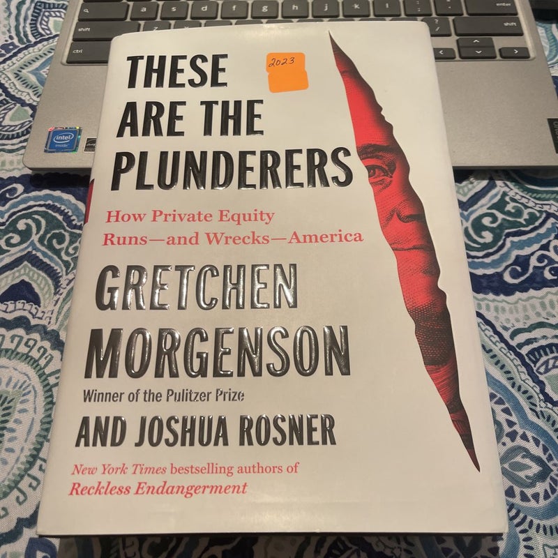 These Are the Plunderers by Gretchen Morgenson, Joshua Rosner