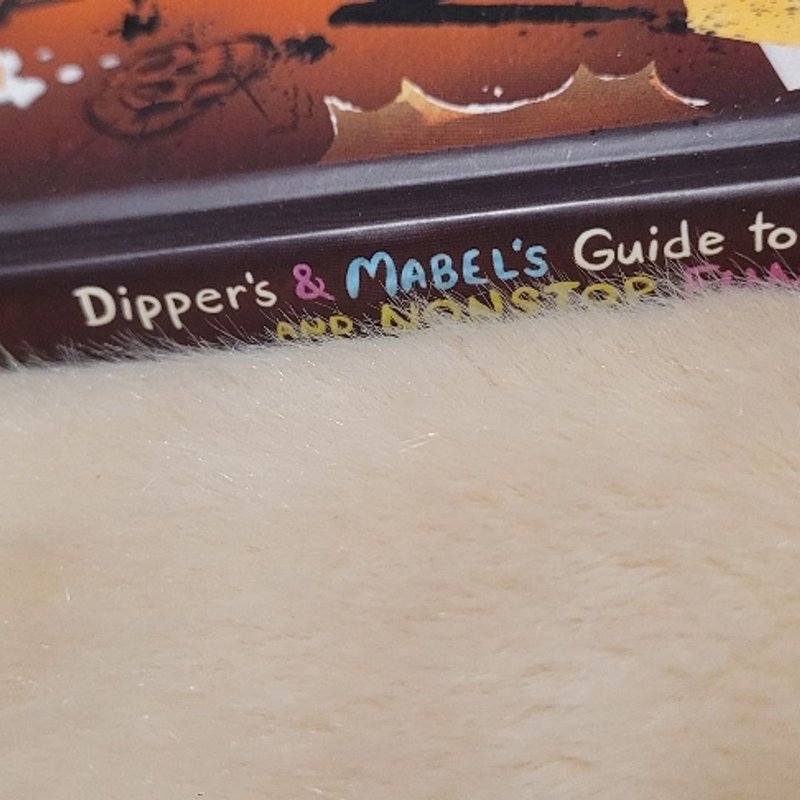 Dipper's Guide to Mystery by Rob Renzetti, Hardcover | Pangobooks