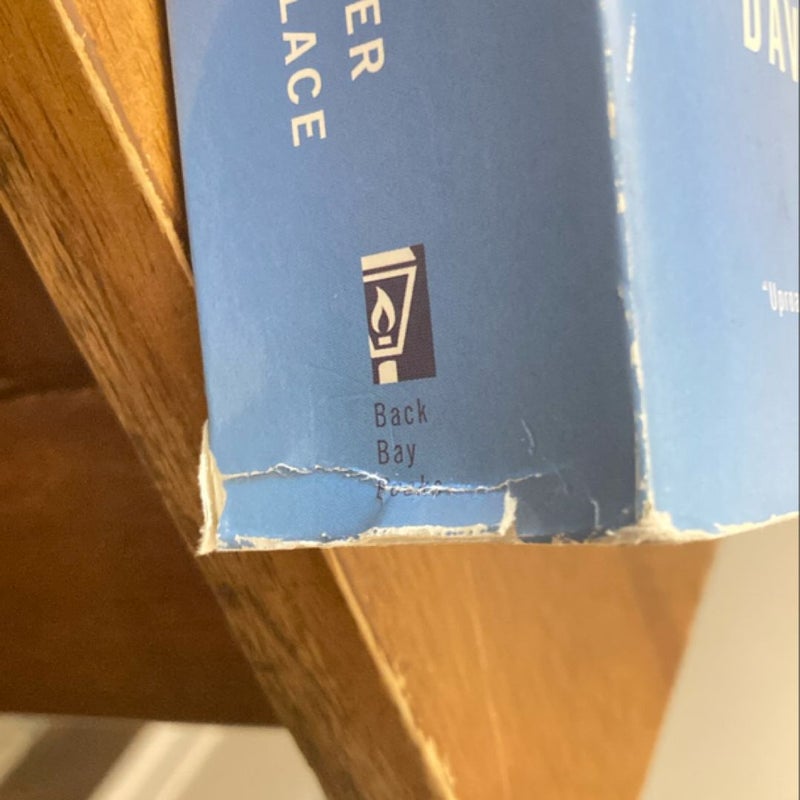 Infinite Jest by David Foster Wallace, Paperback | Pangobooks