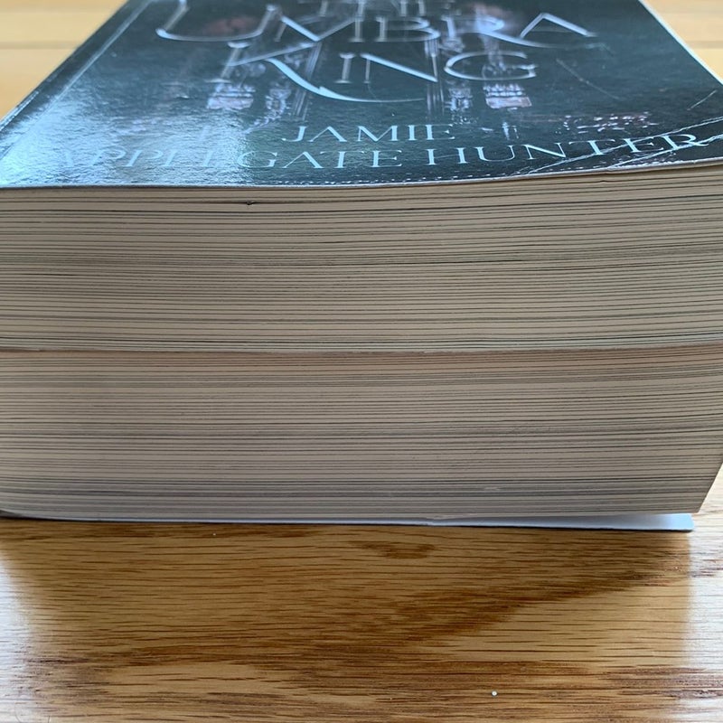 The Vincula Realm Series: The Umbra King and Aeternum by Jamie ...