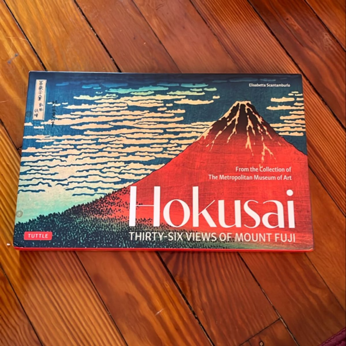 Hokusai's 36 Views of Mount Fuji by Elisabetta Scantamburlo