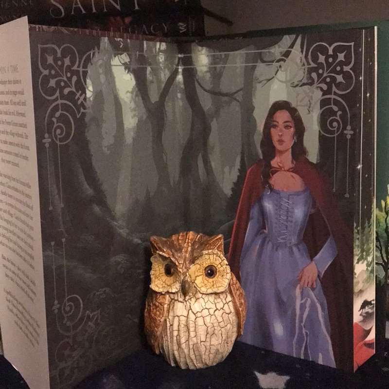 The Forest Grimm *Fairyloot* Edition by Kathryn Purdie, Hardcover ...