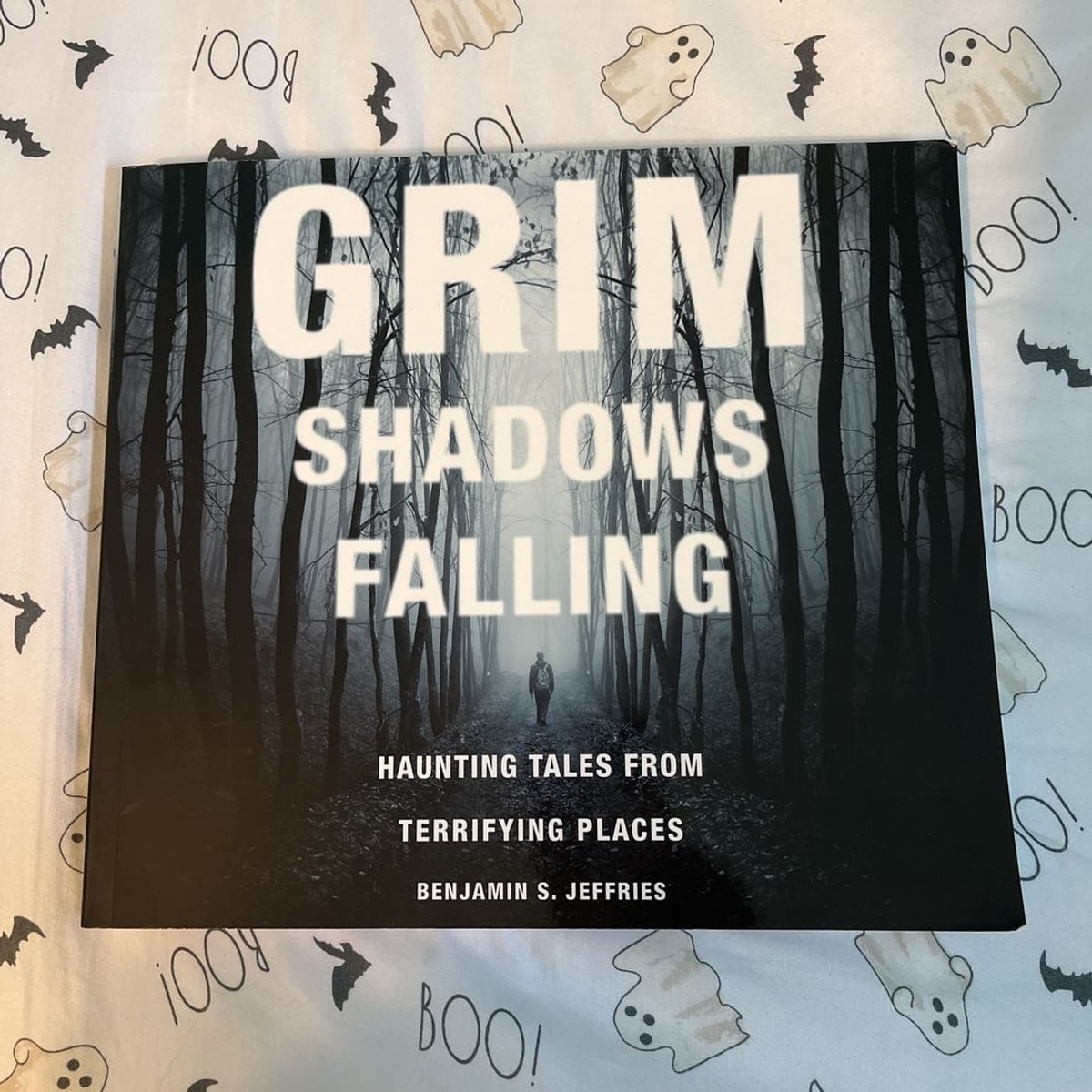 Grim Shadows Falling: Haunting Tales from Terrifying Places