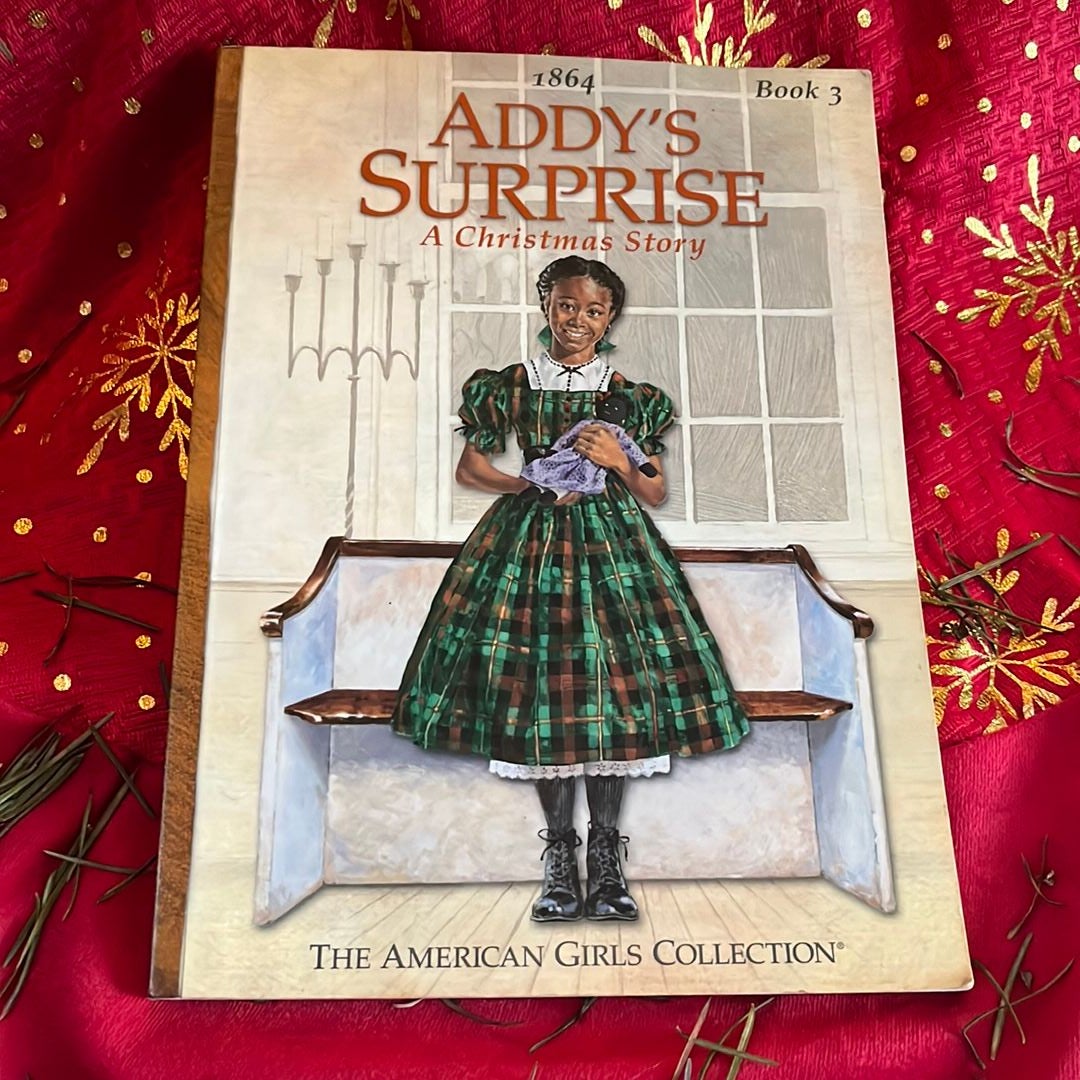 Addy's Surprise by Connie Rose Porter, Paperback | Pangobooks
