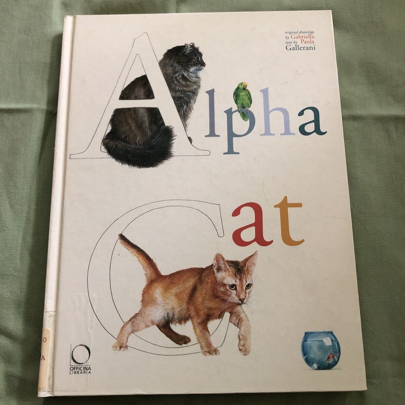 Alpha Cat