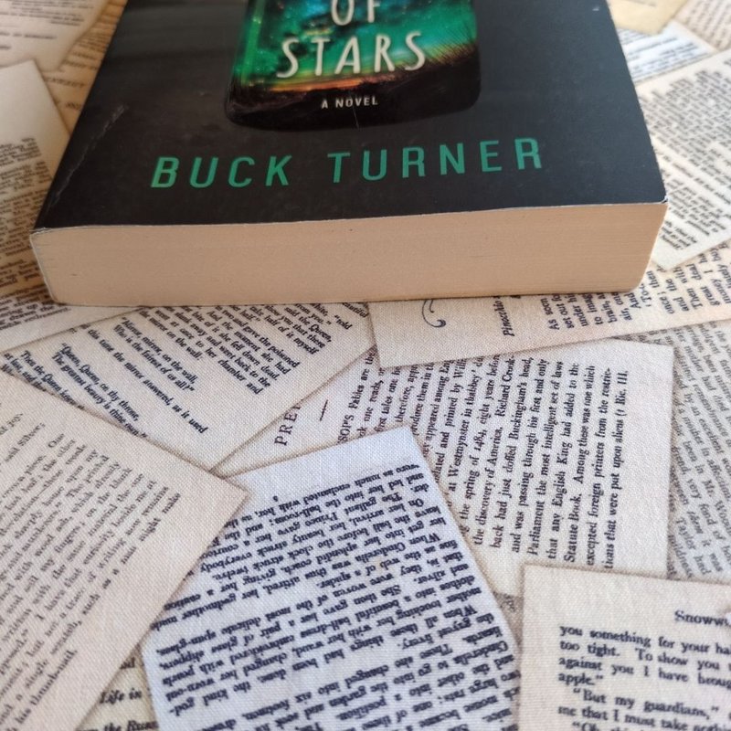 The Keeper of Stars by Buck Turner
